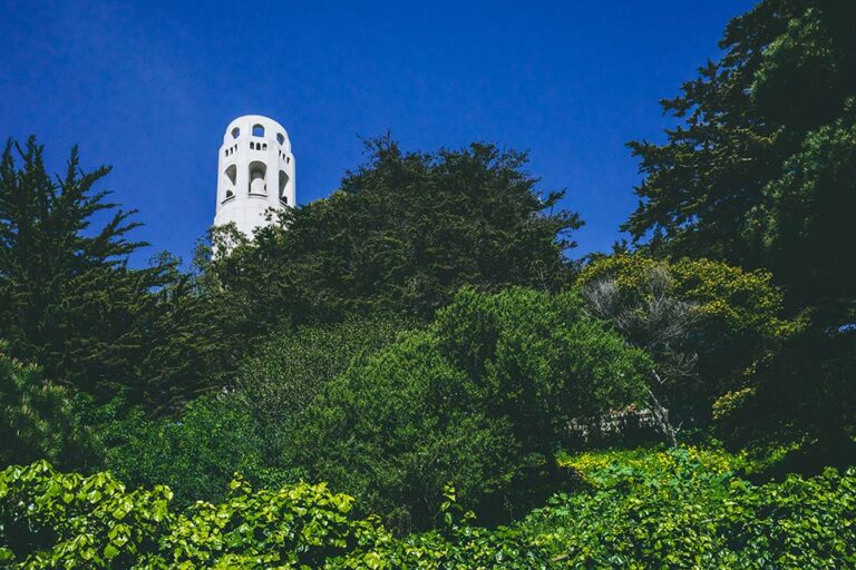 Coit Tower en San Francisco: información y guía turística