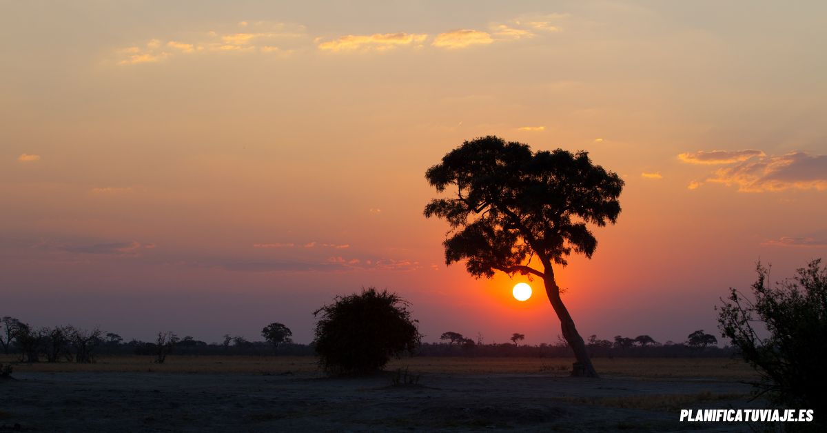 Qué ver en Botsuana: 10 sitios imprescindibles