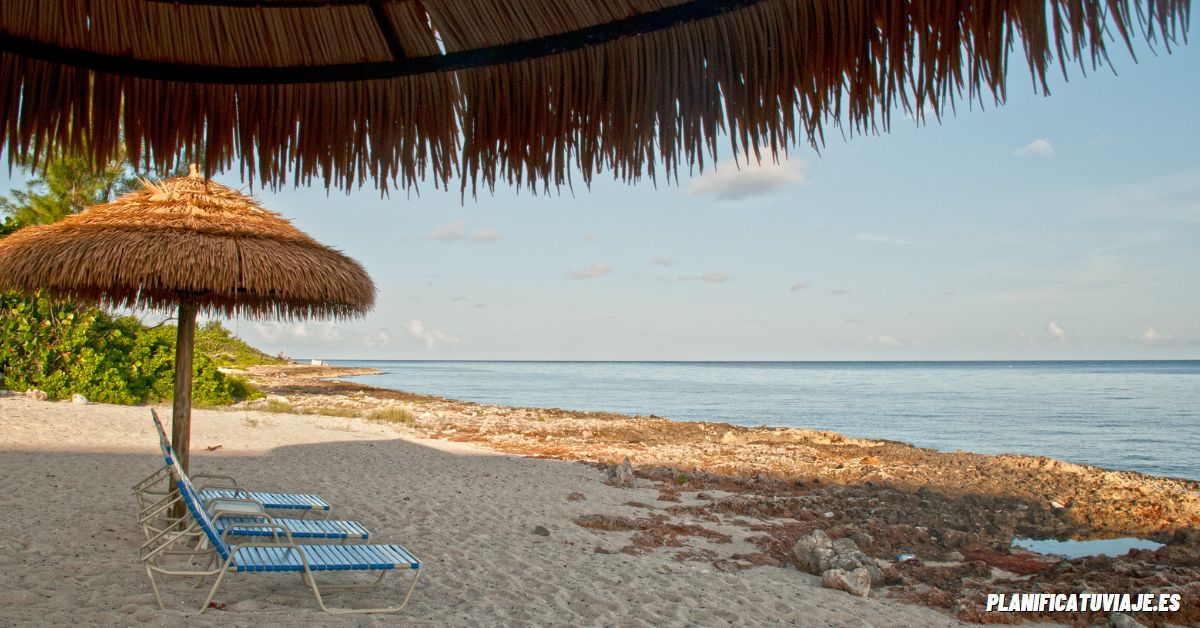 Qué ver en las Islas Caimán: 10 sitios imprescindibles