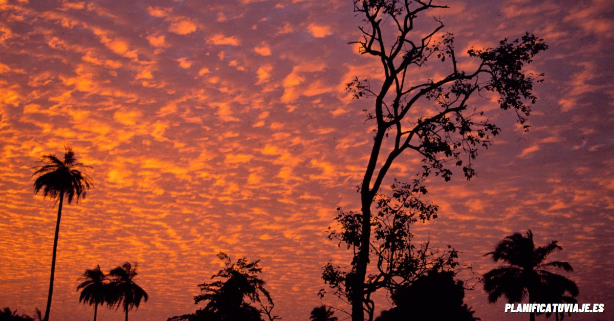 Qué ver en playas de Kololi: 8 sitios imprescindibles