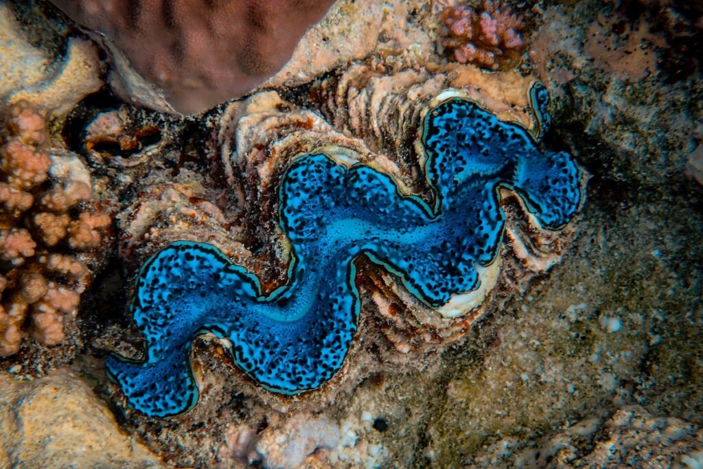 Guía de viaje de Anguila (América Central y Caribe): Descubre el ...