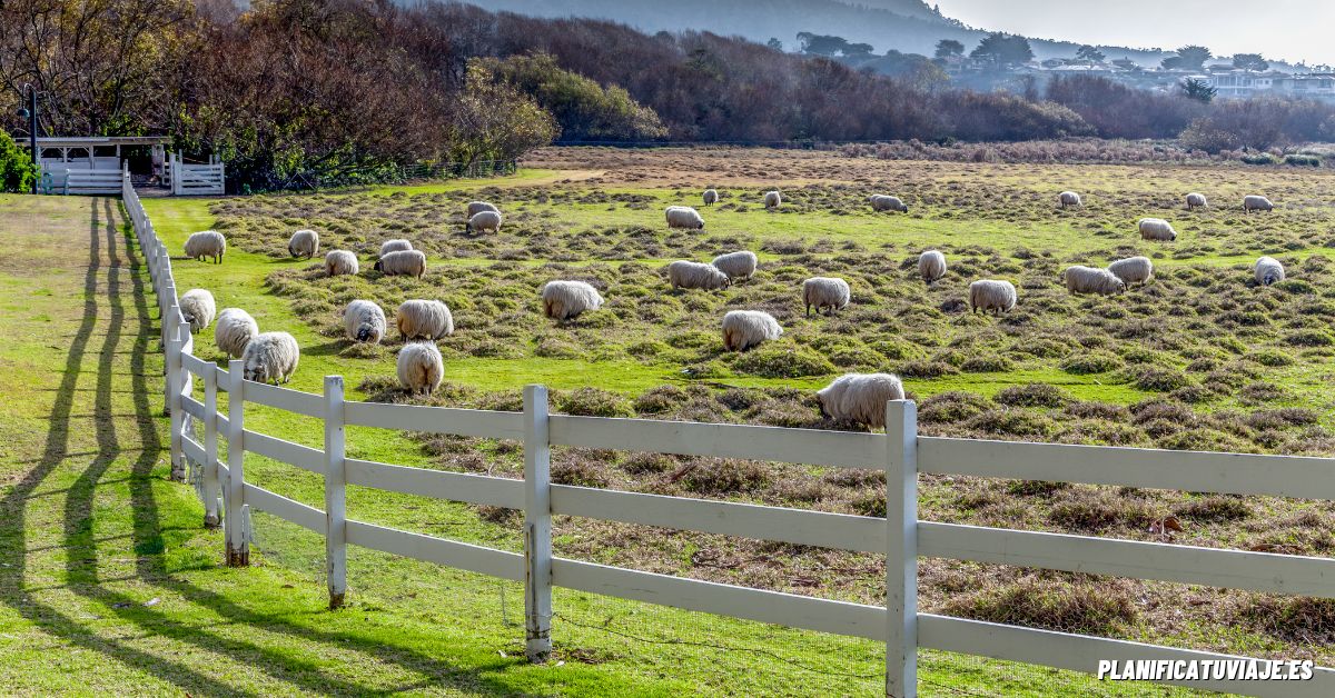 Carmel junto al mar, California: Qué ver y visitar - Planifica tu viaje